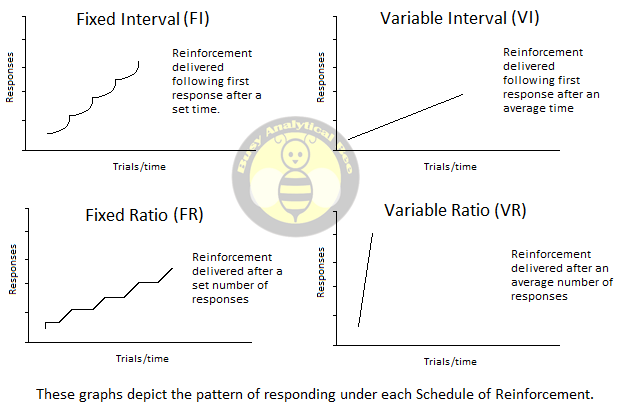 Terminology – Busy Analytical Bee