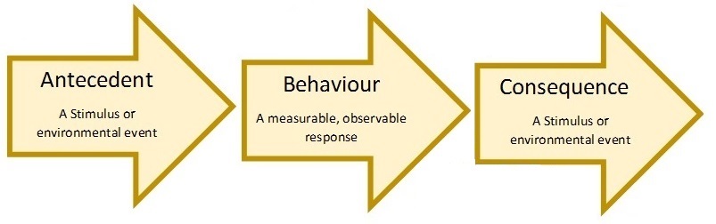 Into to ABA 1: Why do we do the things we do? – Busy Analytical Bee